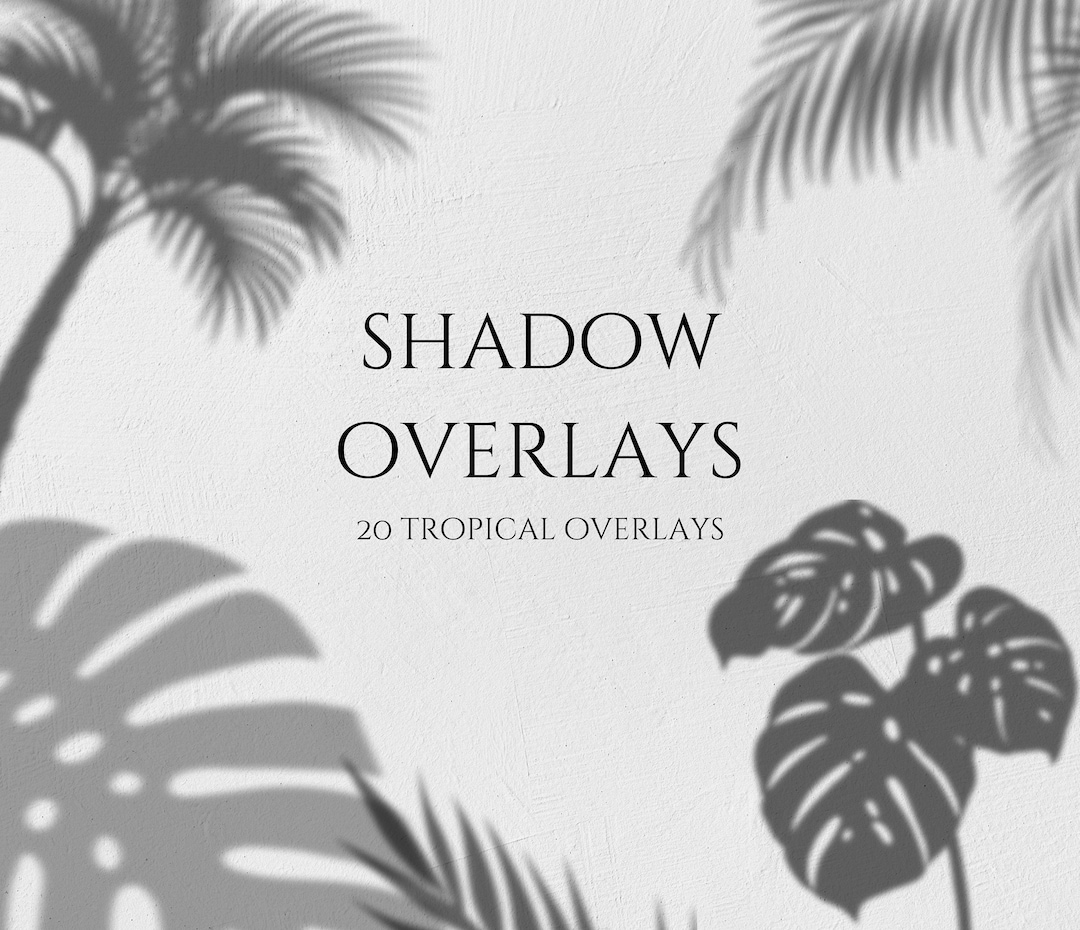 Tropical Shadow Overlays, Palm Leaf Shadows PNG, Photo Overlays - Etsy