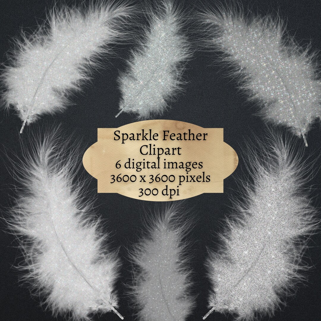Sparkle Feather Clipart, Glitter Feathers PNG, Diamond Clipart - Etsy