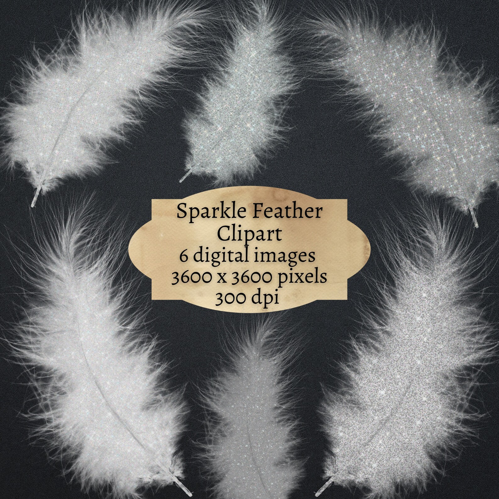 Sparkle Feather Clipart Glitter Feathers PNG Diamond | Etsy