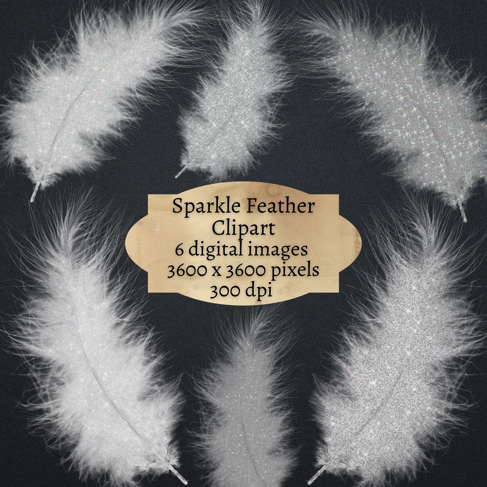 Sparkle Feather Clipart Glitter Feathers PNG Diamond | Etsy
