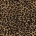 Leopard Checkered Flag Background PNG Grunge Cheetah - Etsy