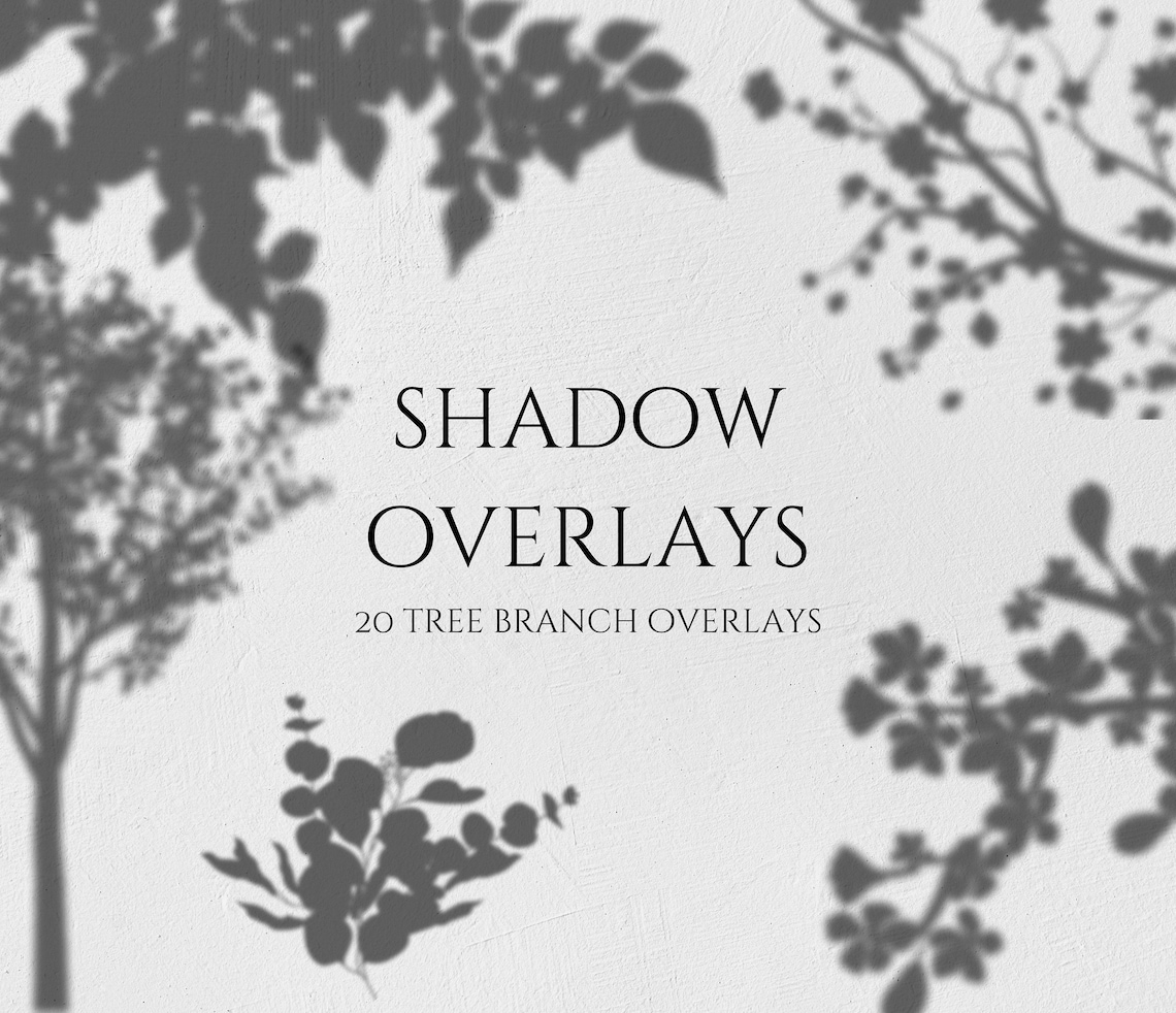 Tree Branch Shadow Overlays Plant Shadows PNG Photo - Etsy
