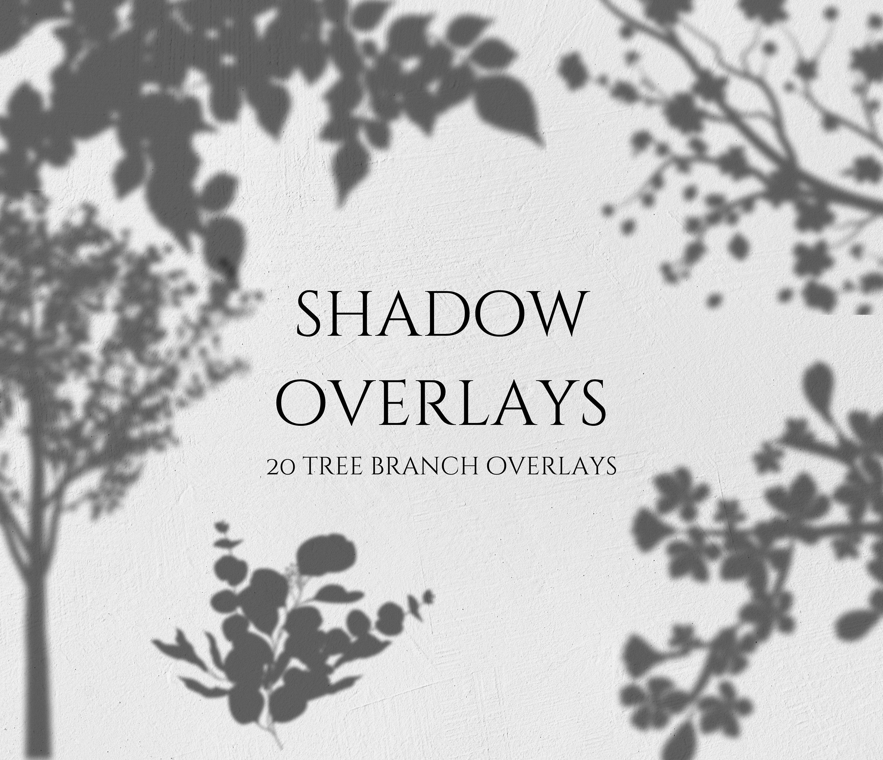 Tree Branch Shadow Overlays, Plant Shadows PNG, Photo Overlays - Etsy