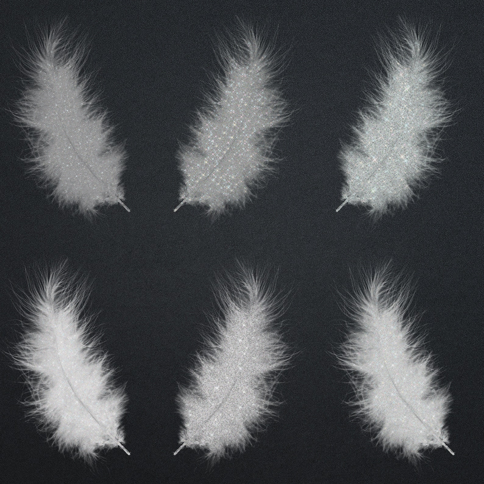Sparkle Feather Clipart Glitter Feathers PNG Diamond - Etsy