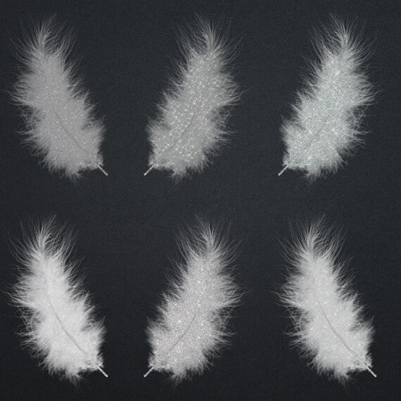 Glitter Feather Photography