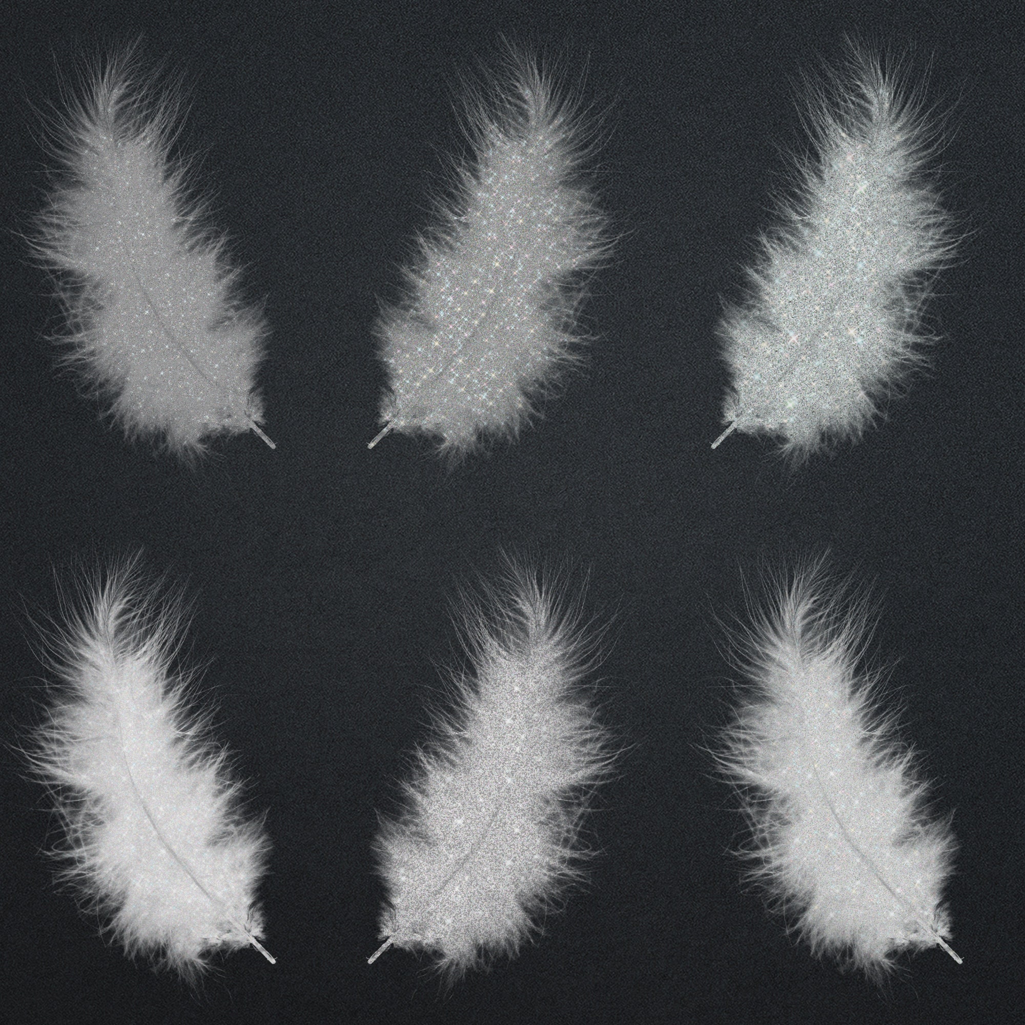 Sparkle Feather Clipart Glitter Feathers PNG Diamond | Etsy