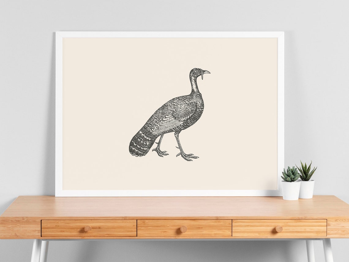 Vintage Turkey Print: Thanksgiving Farmhouse Decor (digital Download ...