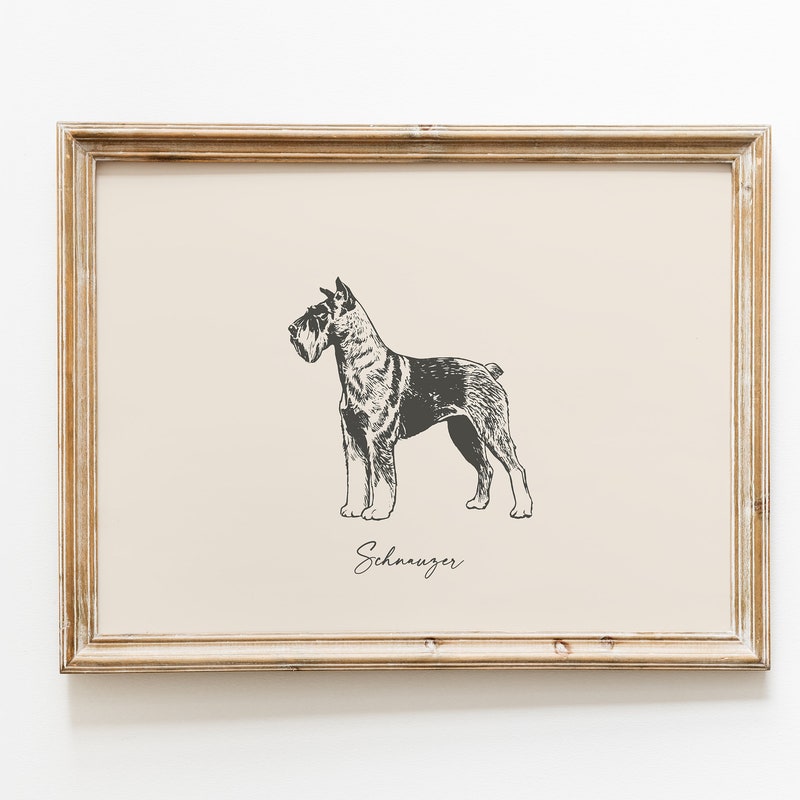 Schnauzer Art Print - Etsy