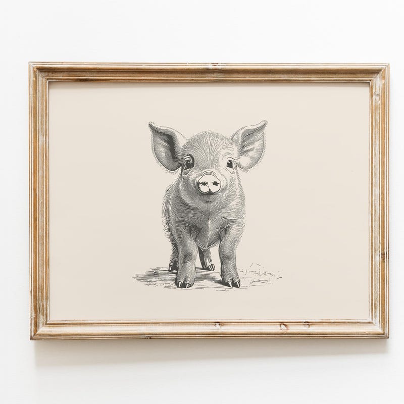Pig Print Antique - Etsy UK