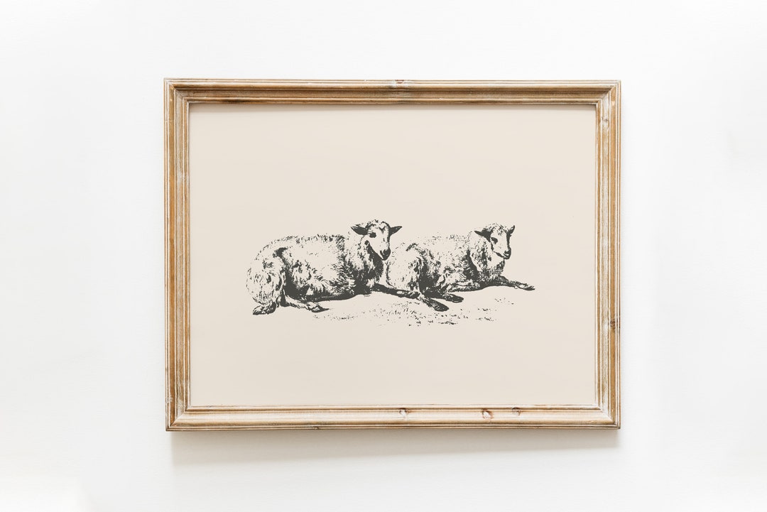 Vintage Sheep Print: Antique Lamb Drawing, Farmhouse Wall Art (digital ...