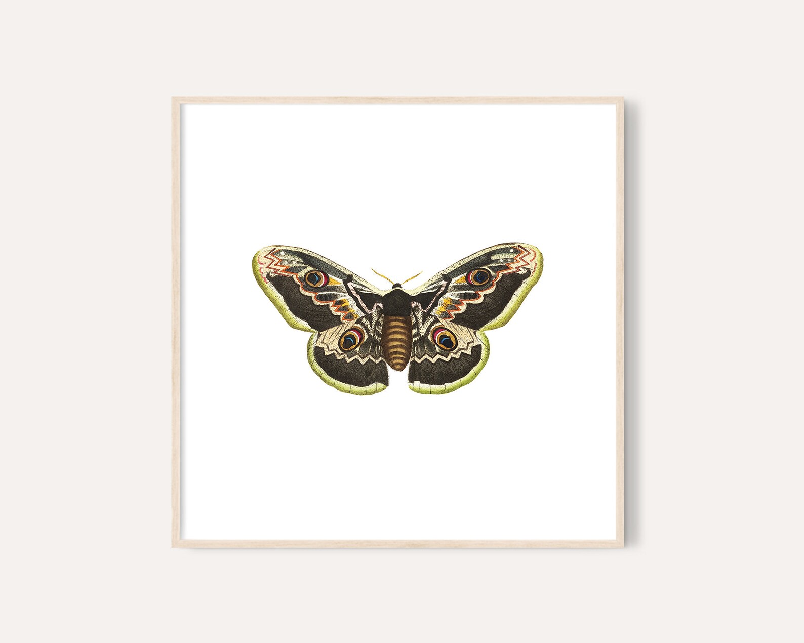 Boho Butterfly Wall Art / Boho Butterfly Print / Butterfly - Etsy