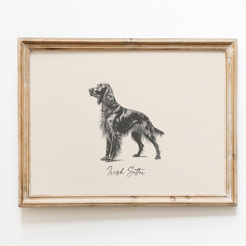 Irish Setter Art - Etsy