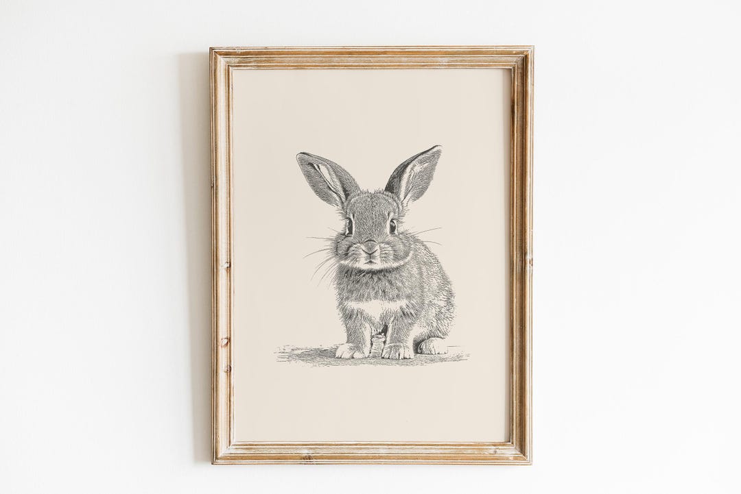 Baby Rabbit Vintage Print | Bunny Vintage Drawing | Animal Nursery Wall ...