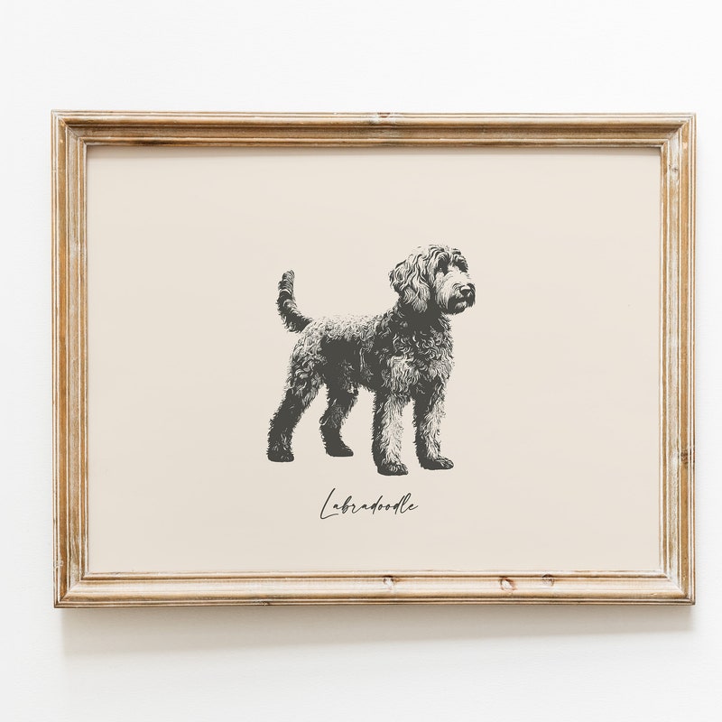 Labradoodle Print - Etsy
