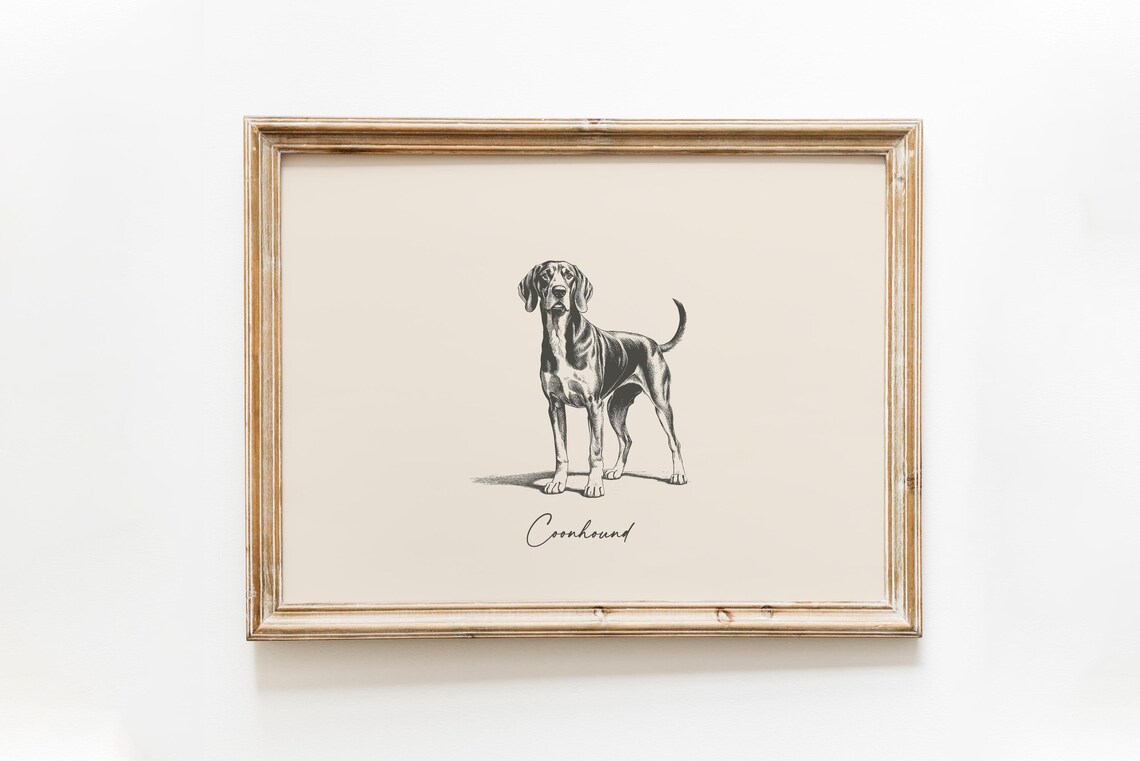 Vintage Coonhound Dog Print: Farmhouse Wall Art (digital Download) - Etsy