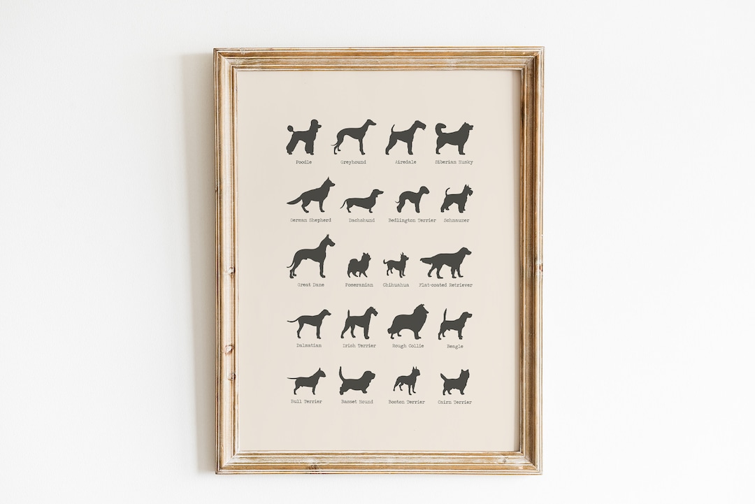 Vintage Dogs Print | Dog Breeds Print | Educational Dogs Print | Dog ...