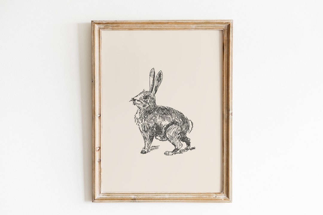 Rabbit Print | Rabbit Wall Art | Rabbit Vintage Drawing | Animal ...