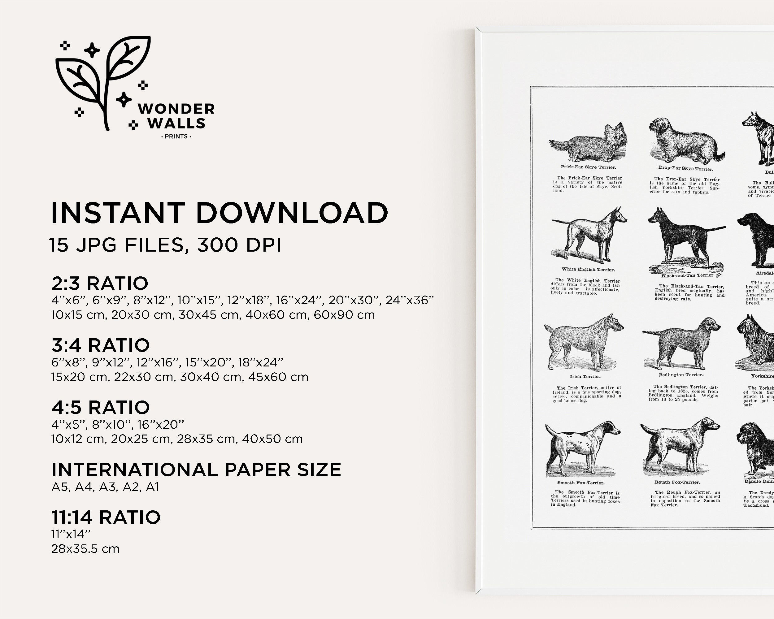 Set of 3 Dog Prints / Vintage Dog Print / Educational Dogs - Etsy