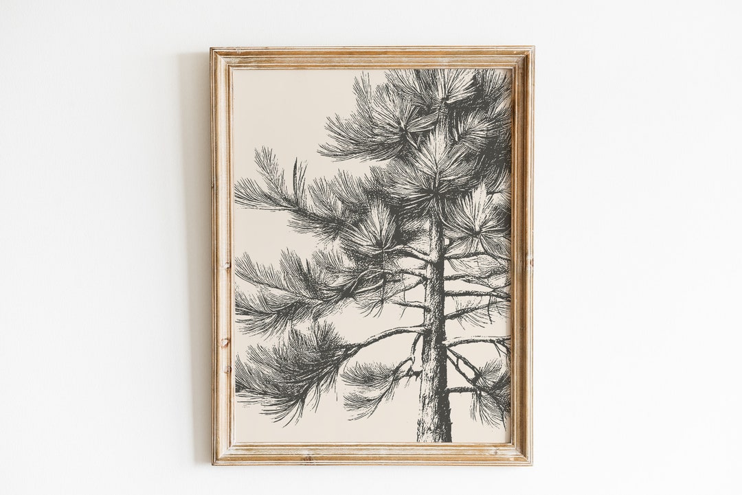 Vintage Pine Tree Print: Farmhouse Woodland Wall Art (digital Download ...