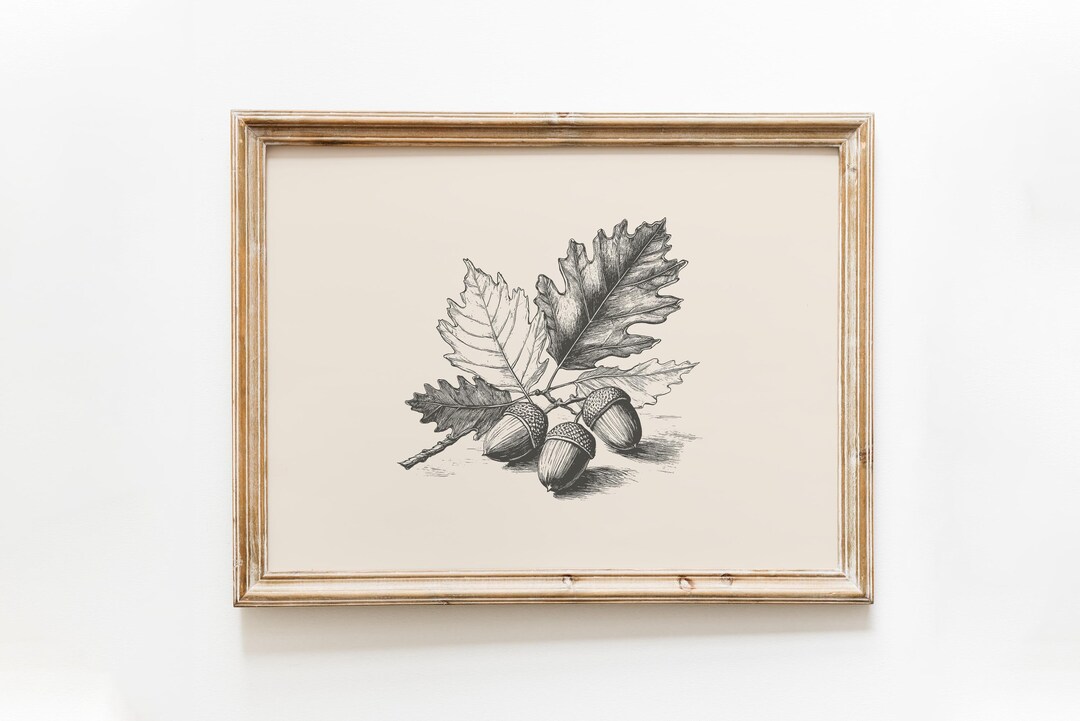 Vintage Acorns Print: Nature Inspired Fall Wall Art (digital Download ...