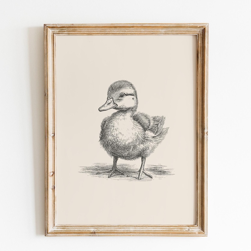 Duck Drawing for Nursery - Etsy