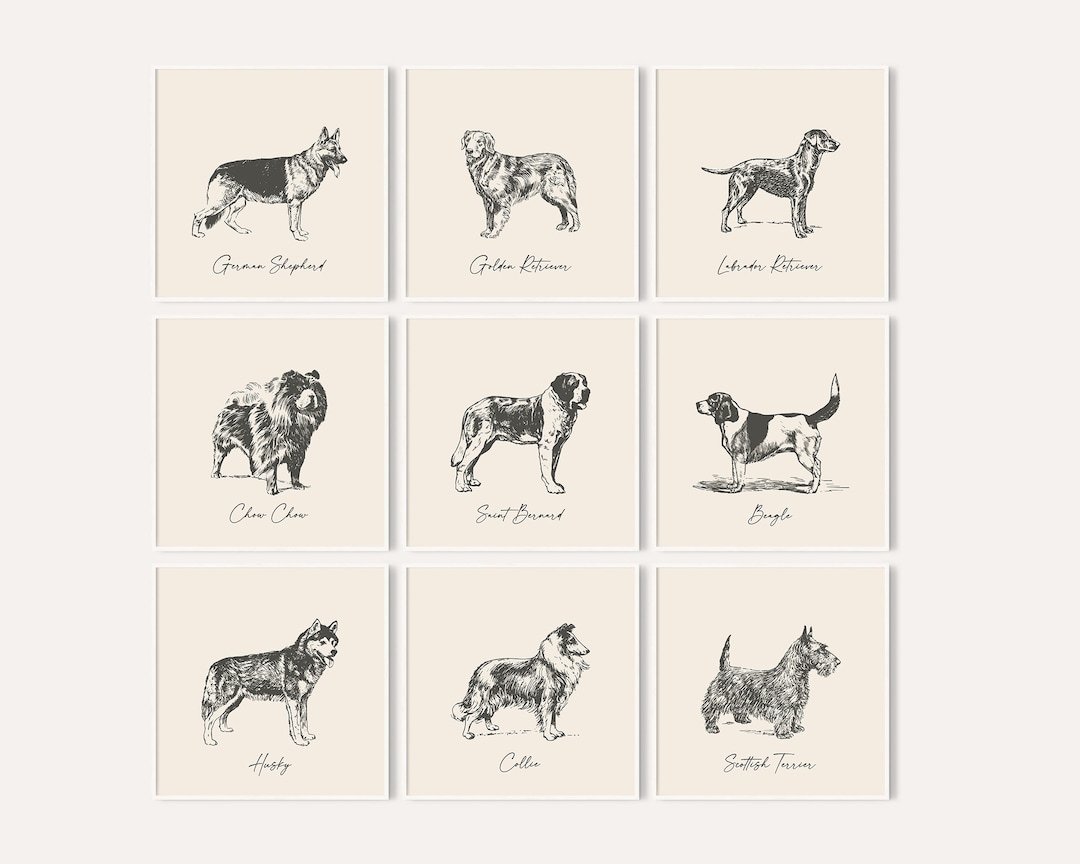 Vintage Dog Prints - Set of 9 | Dow Drawing | Dog Breeds Wall Art ...