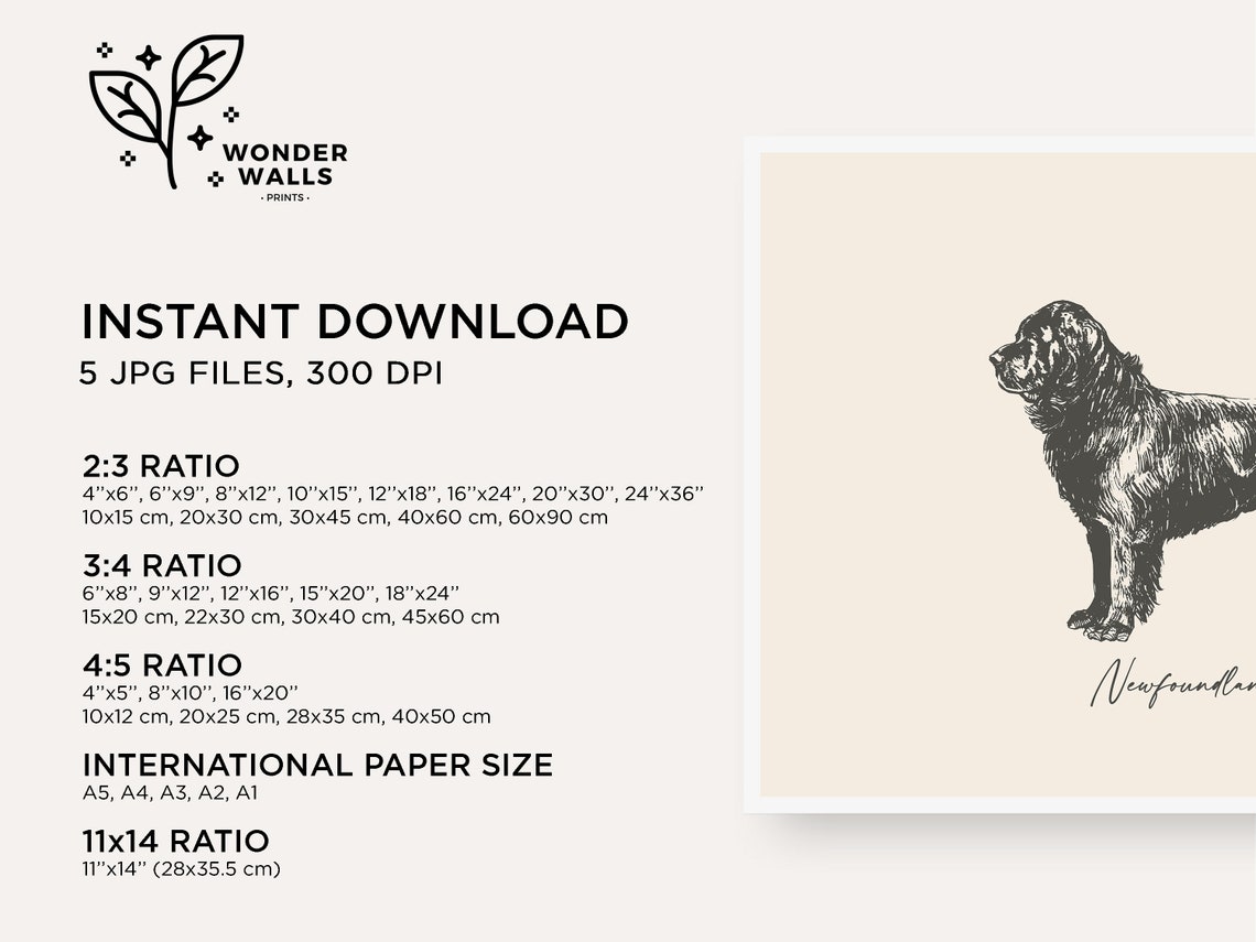 Vintage Newfoundland Dog Drawing: Farmhouse Wall Art (digital Download ...