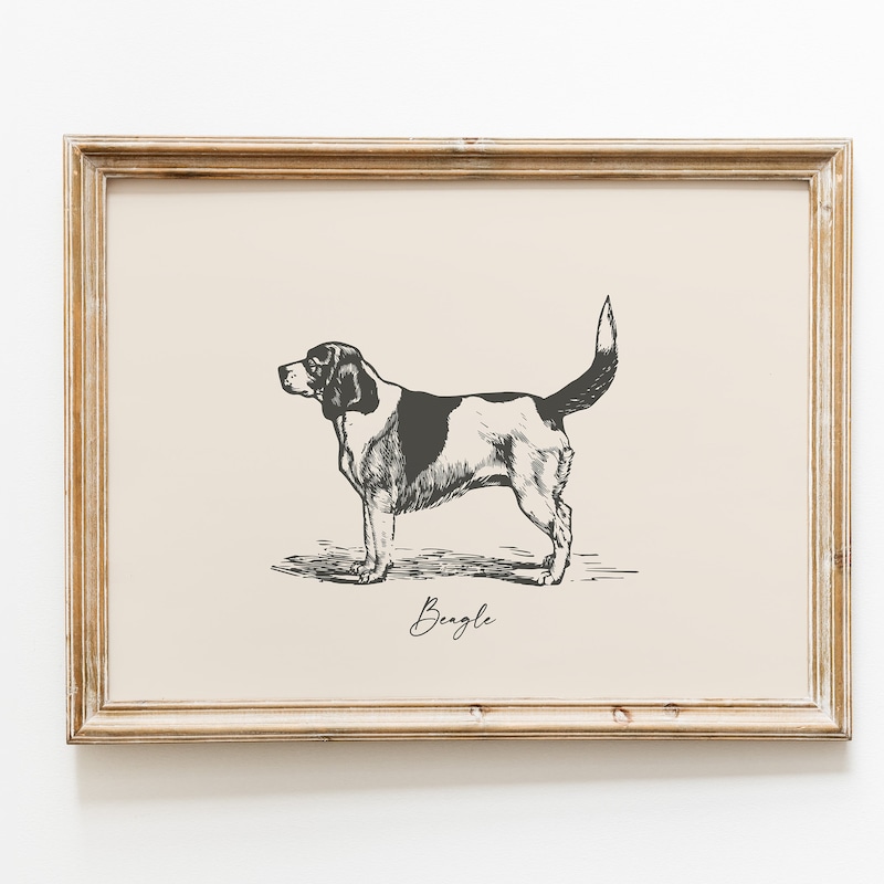 Beagle Art Print - Etsy