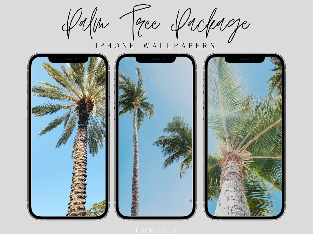 IPhone Wallpaper- Palm Tree Package - Etsy