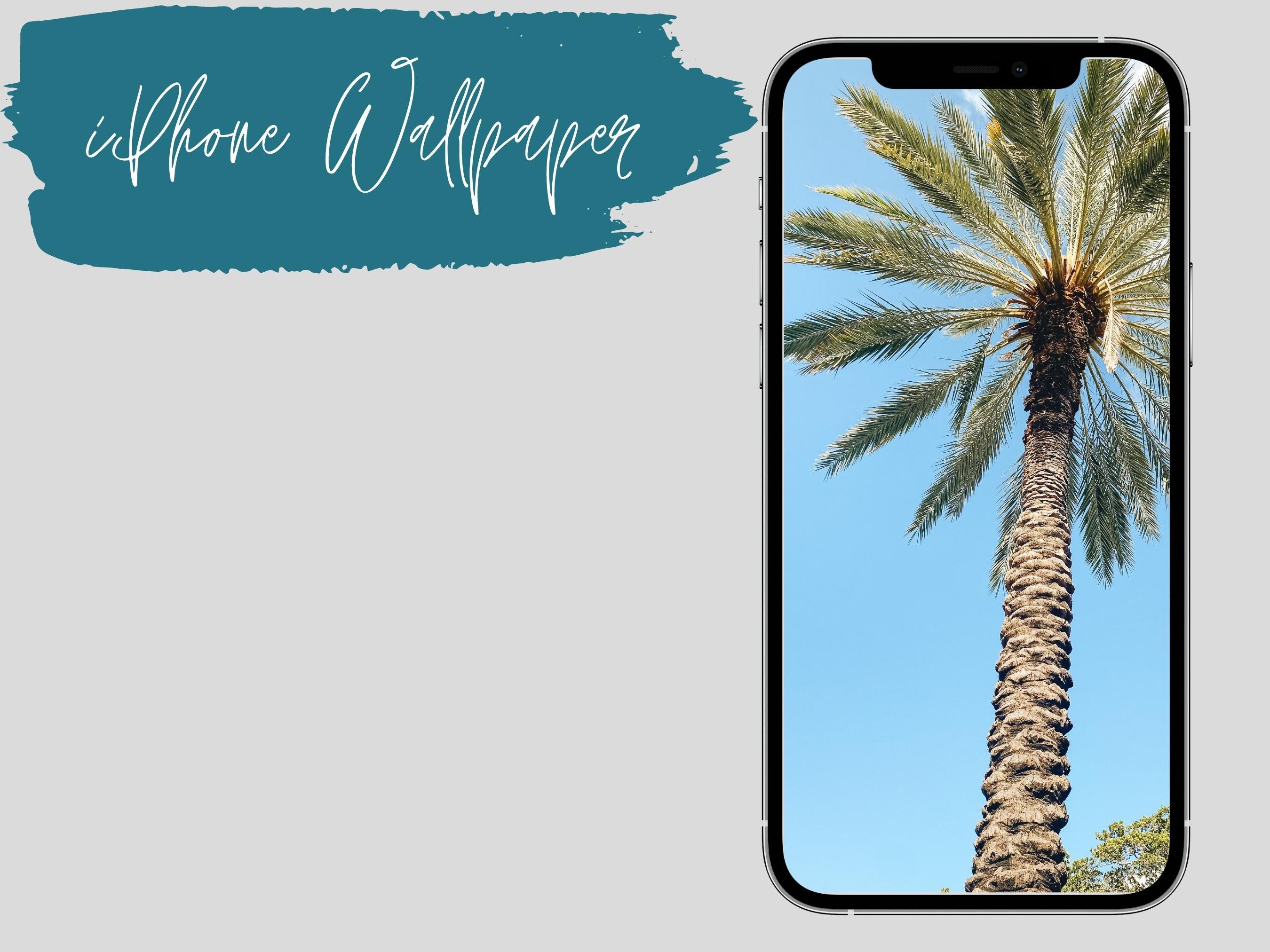 IPhone Wallpaper- Palm Tree Package - Etsy