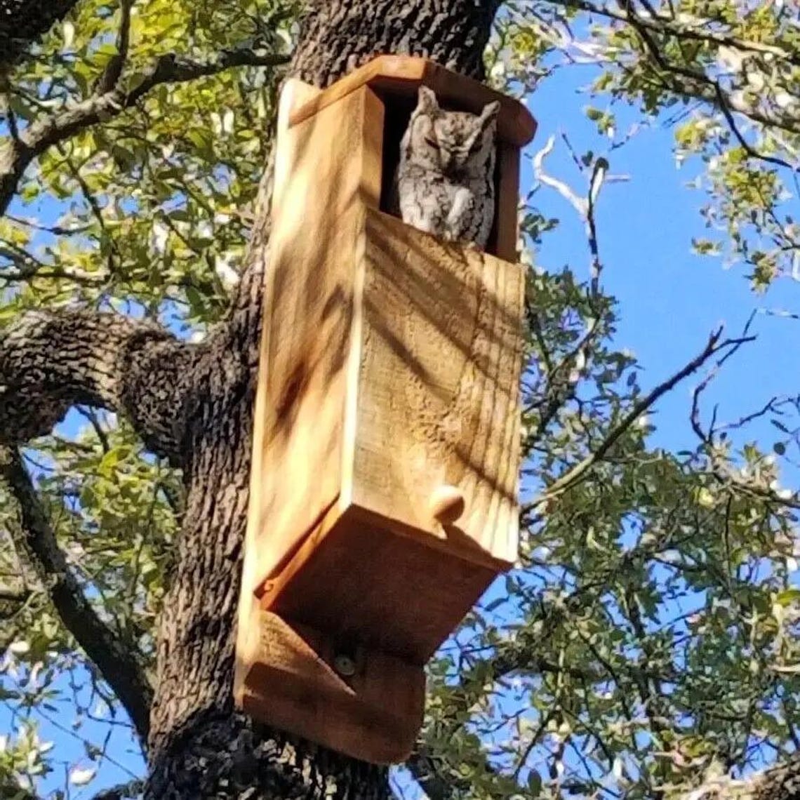 Rustic Birdhouse Nesting Box for Owls, Custom Handmade Wooden Owl House ...