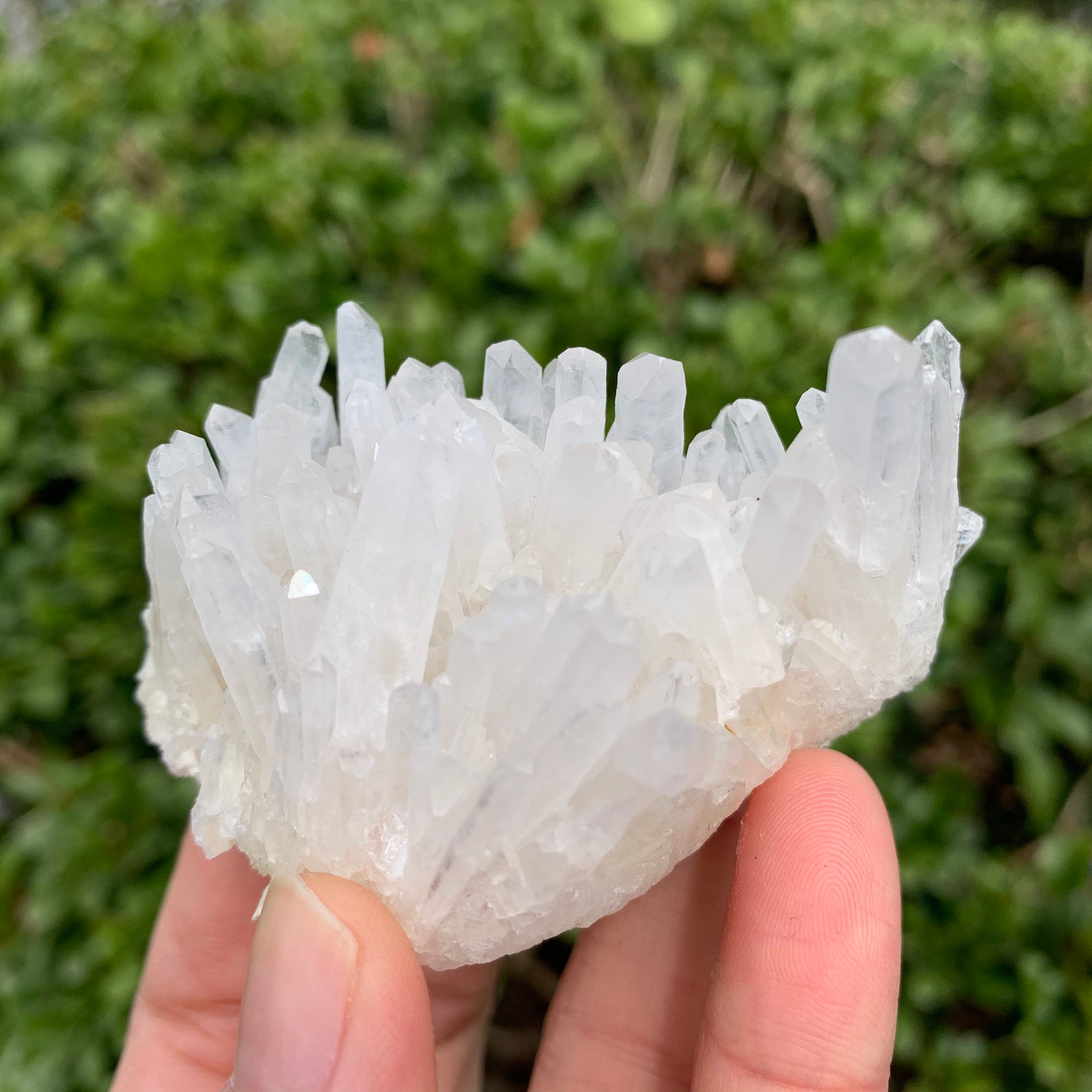 Natural Clear Quartz Cluster Healing Crystal Cluster - Etsy