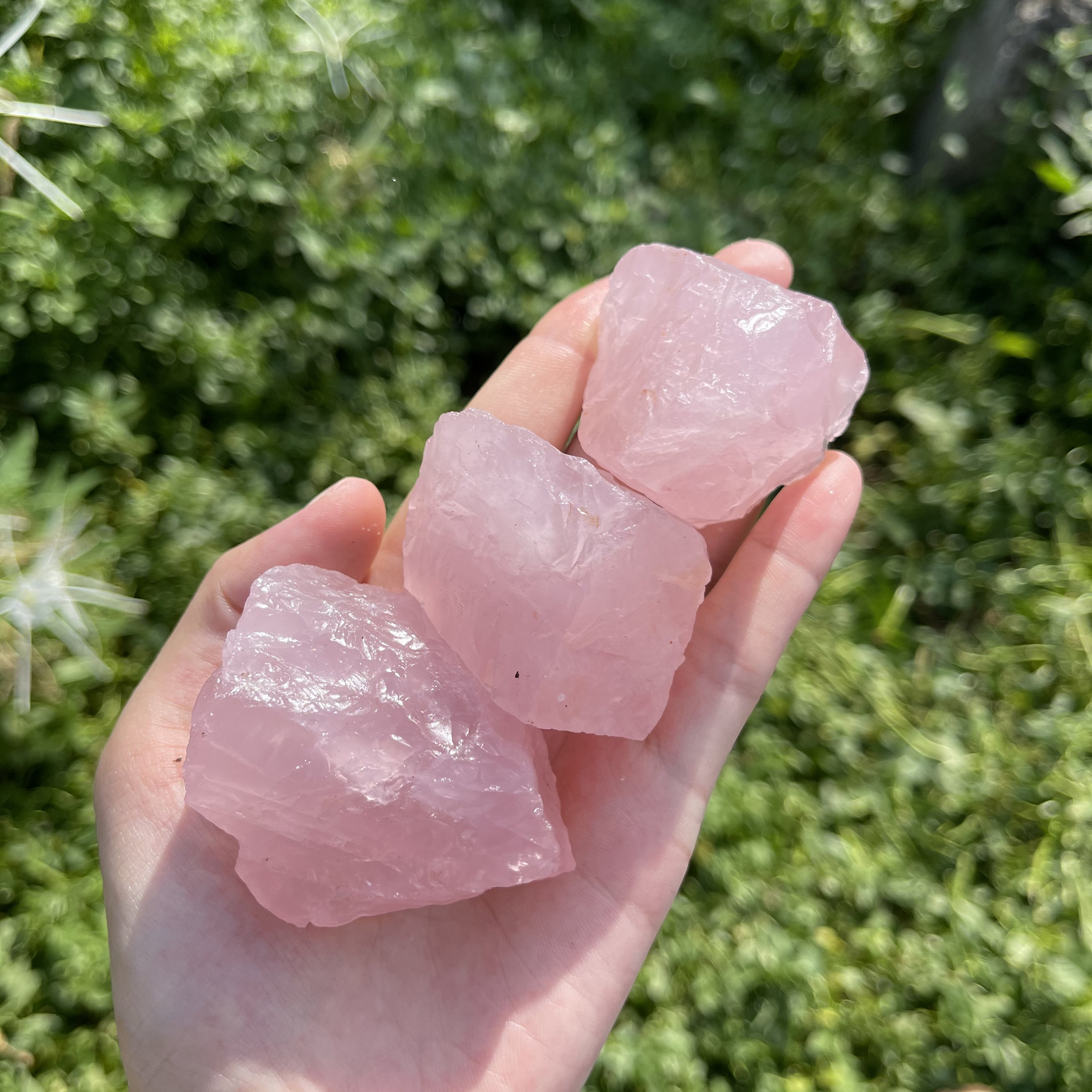 Natural Raw Rose Quartz Rough Rose Quartz Cluster Rose | Etsy