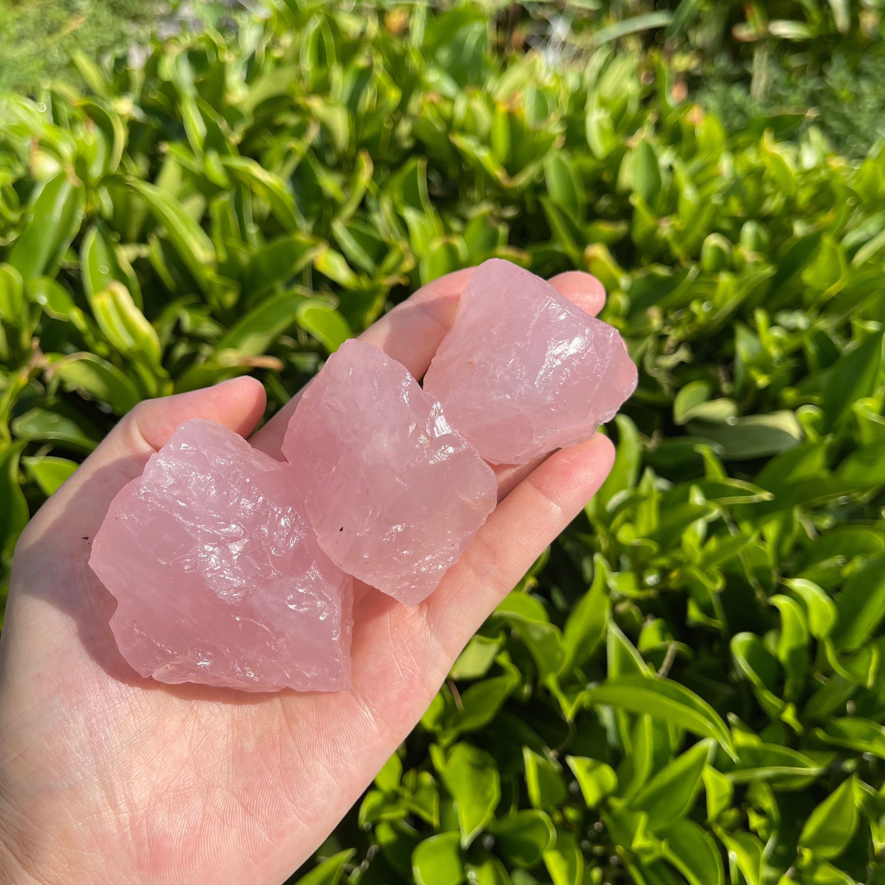 Natural Raw Rose Quartz Rough Rose Quartz Cluster Rose | Etsy