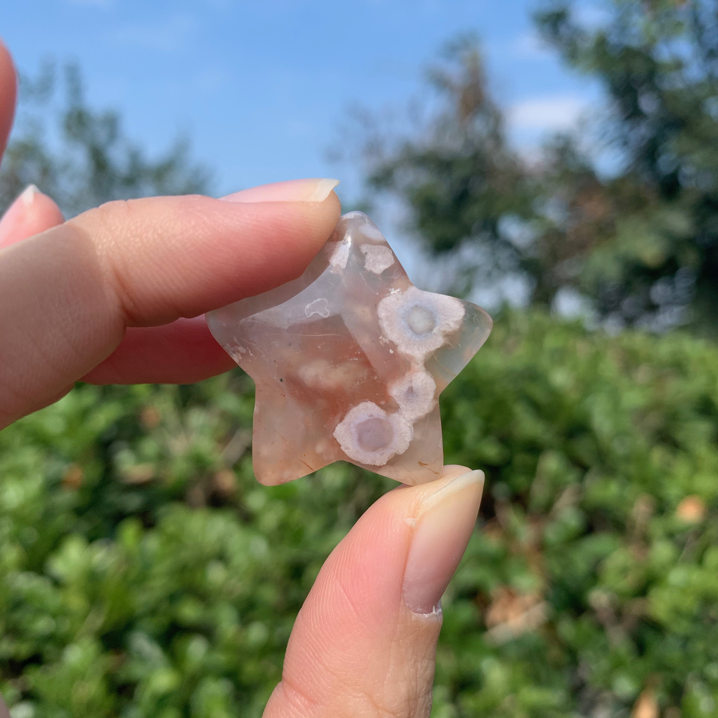 Natural Cherry Blossom Agate Star Flower Agate Star Crystal | Etsy