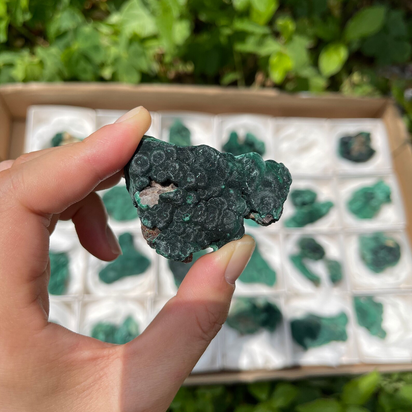 Natural Raw Malachite Specimen High Quality Raw Malachite | Etsy Canada