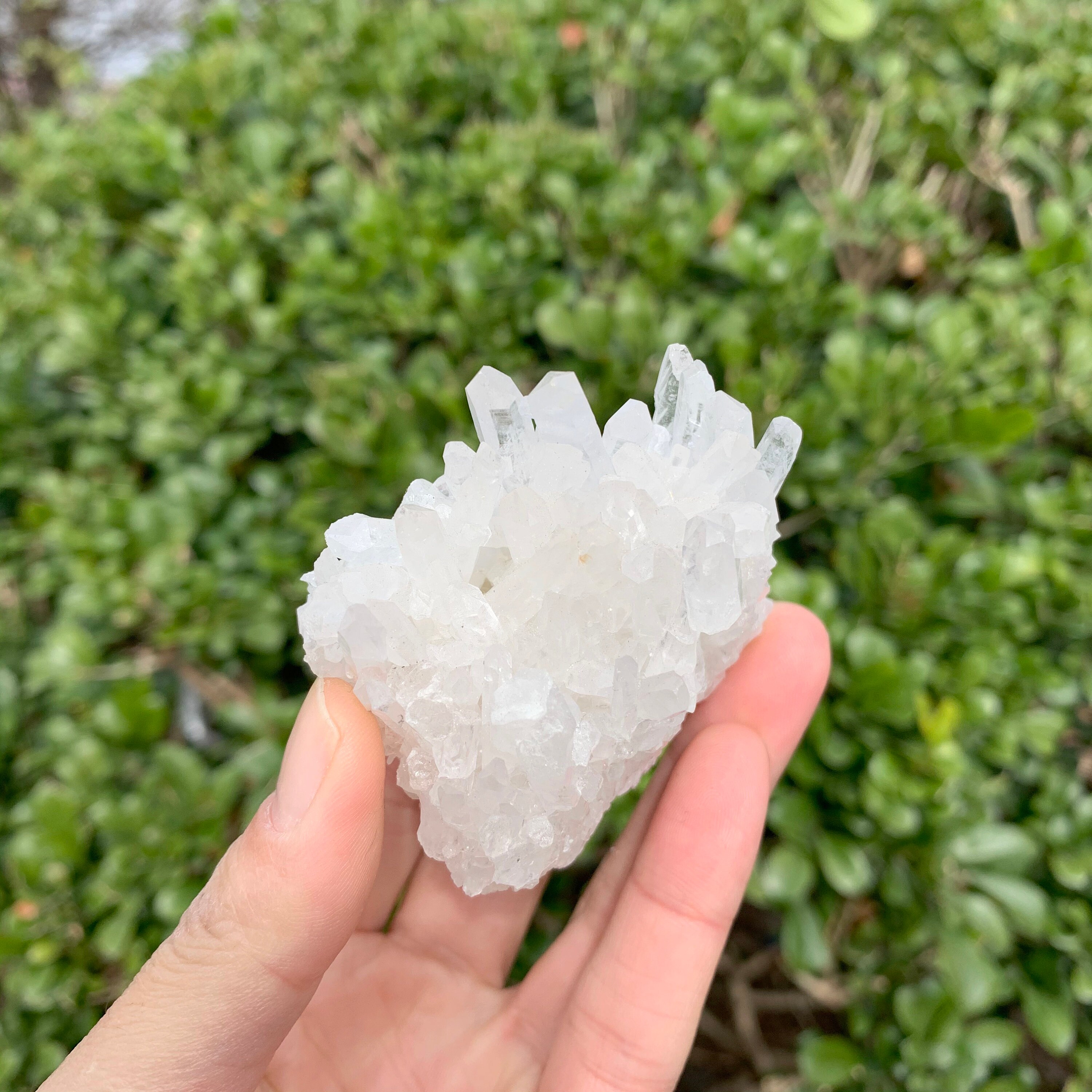 Natural Clear Quartz Cluster Healing Crystal Cluster - Etsy