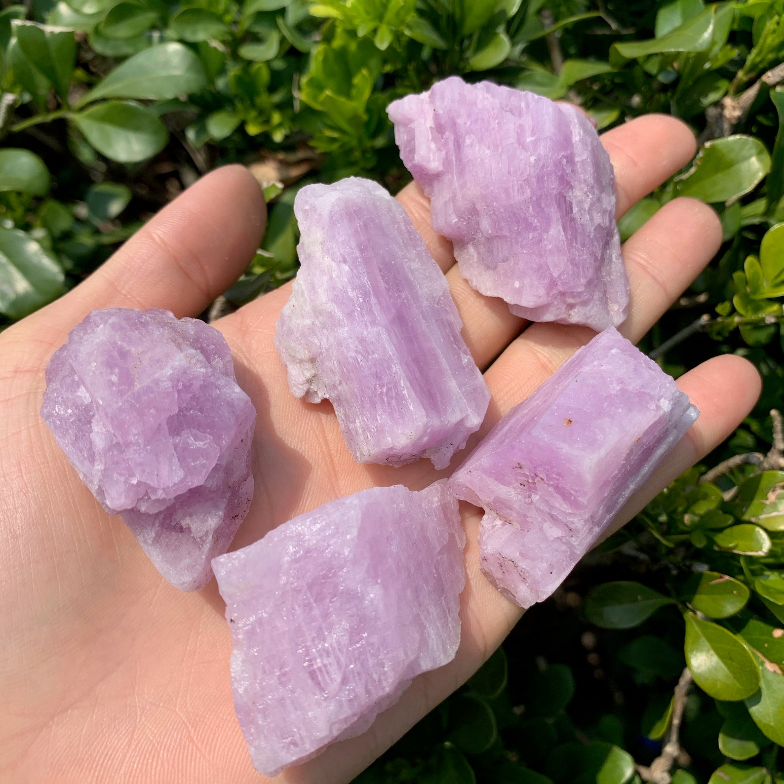 Kunzite Rough Crystals Raw Kunzite Crystal Natural Rough | Etsy