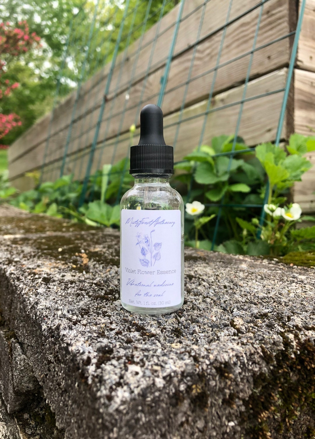 Violet (viola Sororia) Non-alcoholic Flower Essence ~ Chakra, Yoga ...