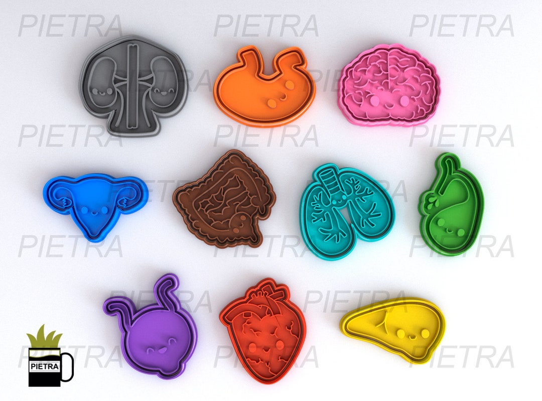 Cookie Cutter Human Organs Kawaii Fondant Multi Use - Cutter With ...