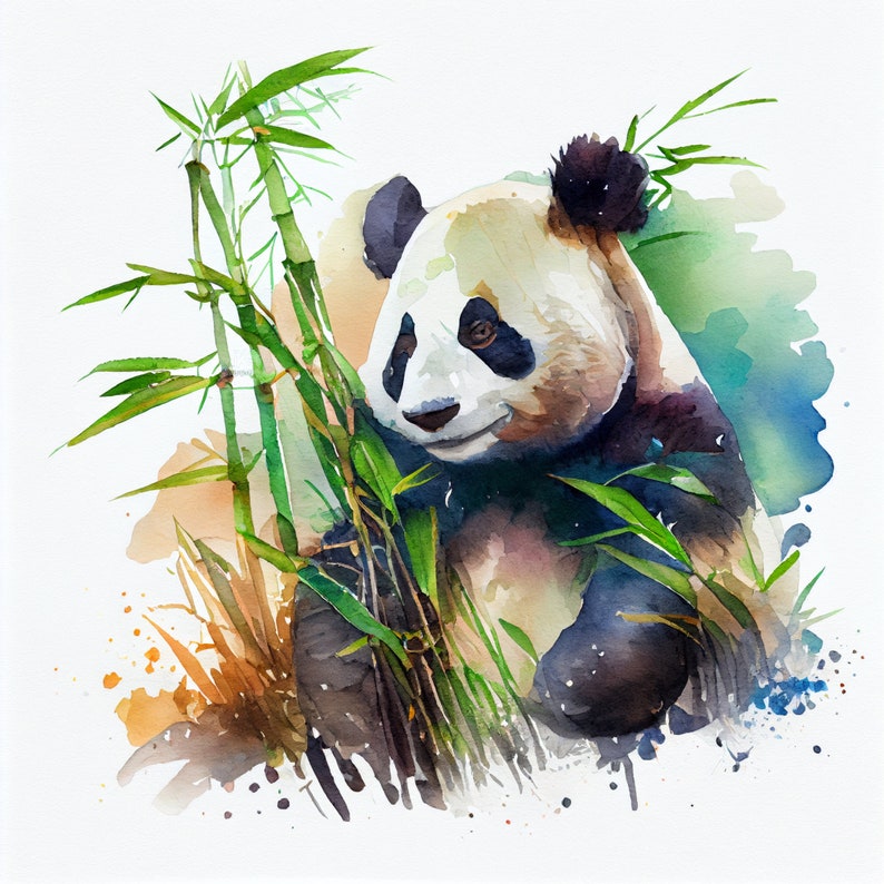 Bamboo Forest Panda Clipart for Digital Art and Crafts - Etsy