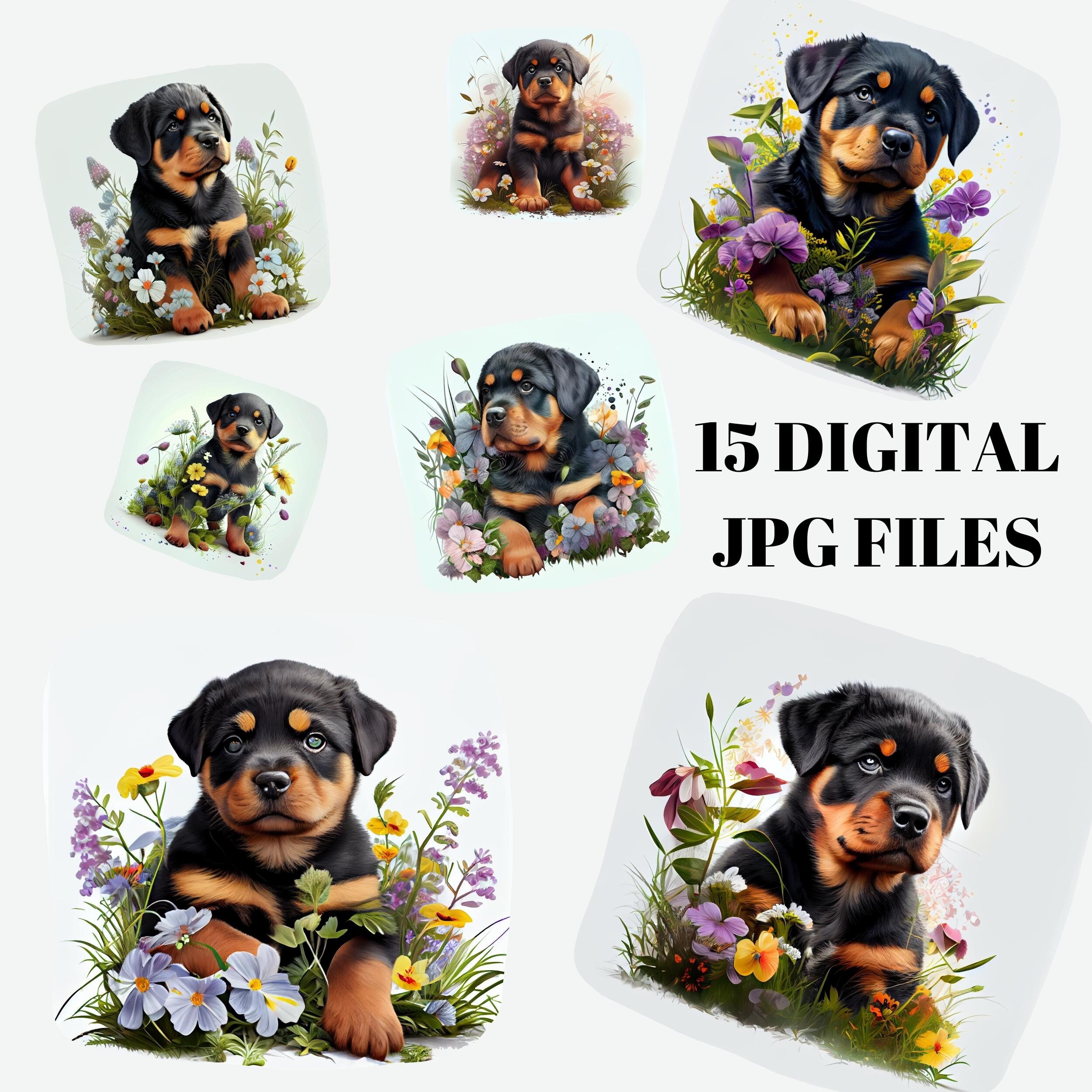 Rottweiler Puppy Digital Watercolor Clipart Bundle – 15 High-res Jpgs ...