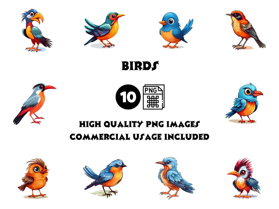 Colorful Birds Clipart Set – 10 PNG Images for Crafting and ...