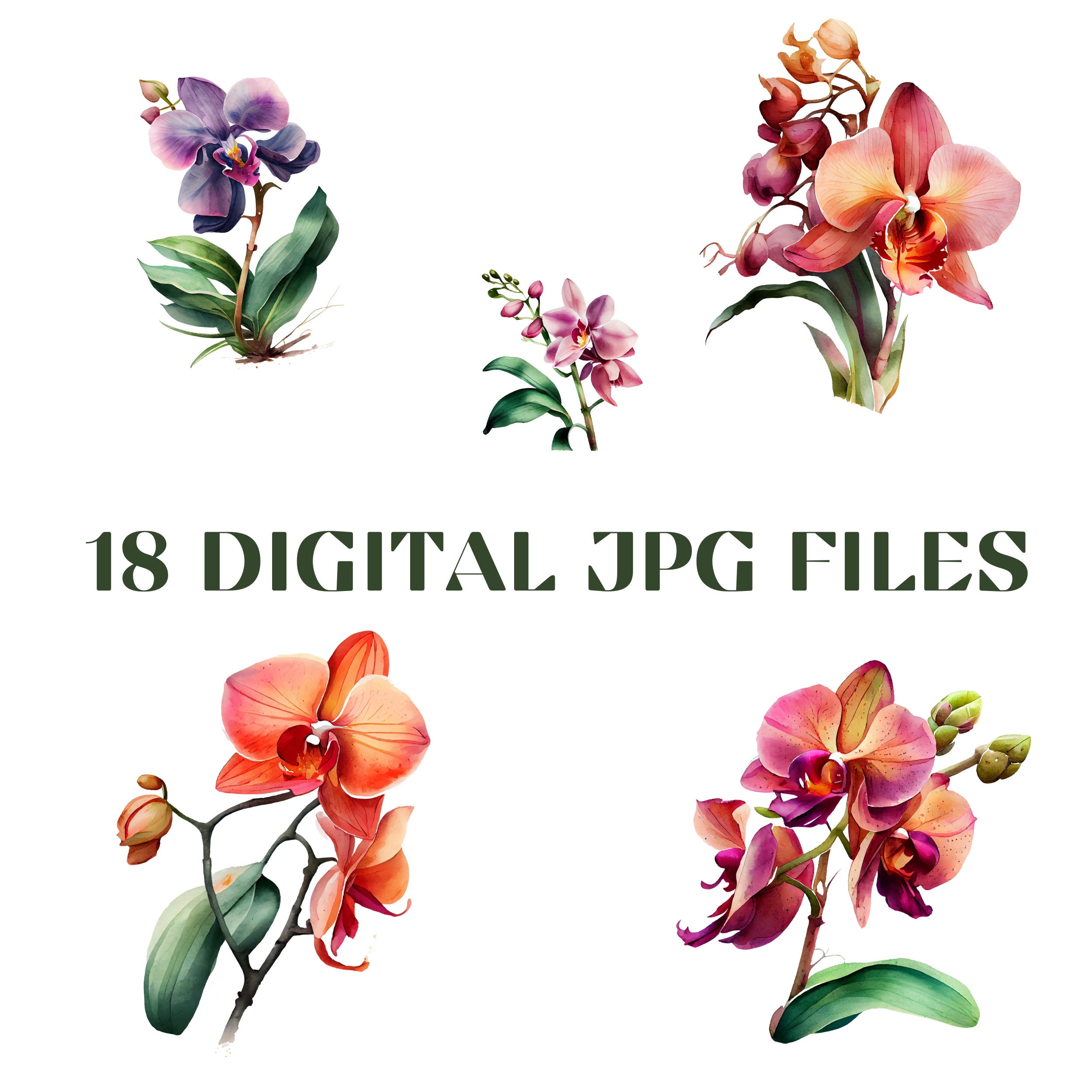 Orchid Flower Digital Watercolor Clipart, Orchid Flower Printable Wall ...