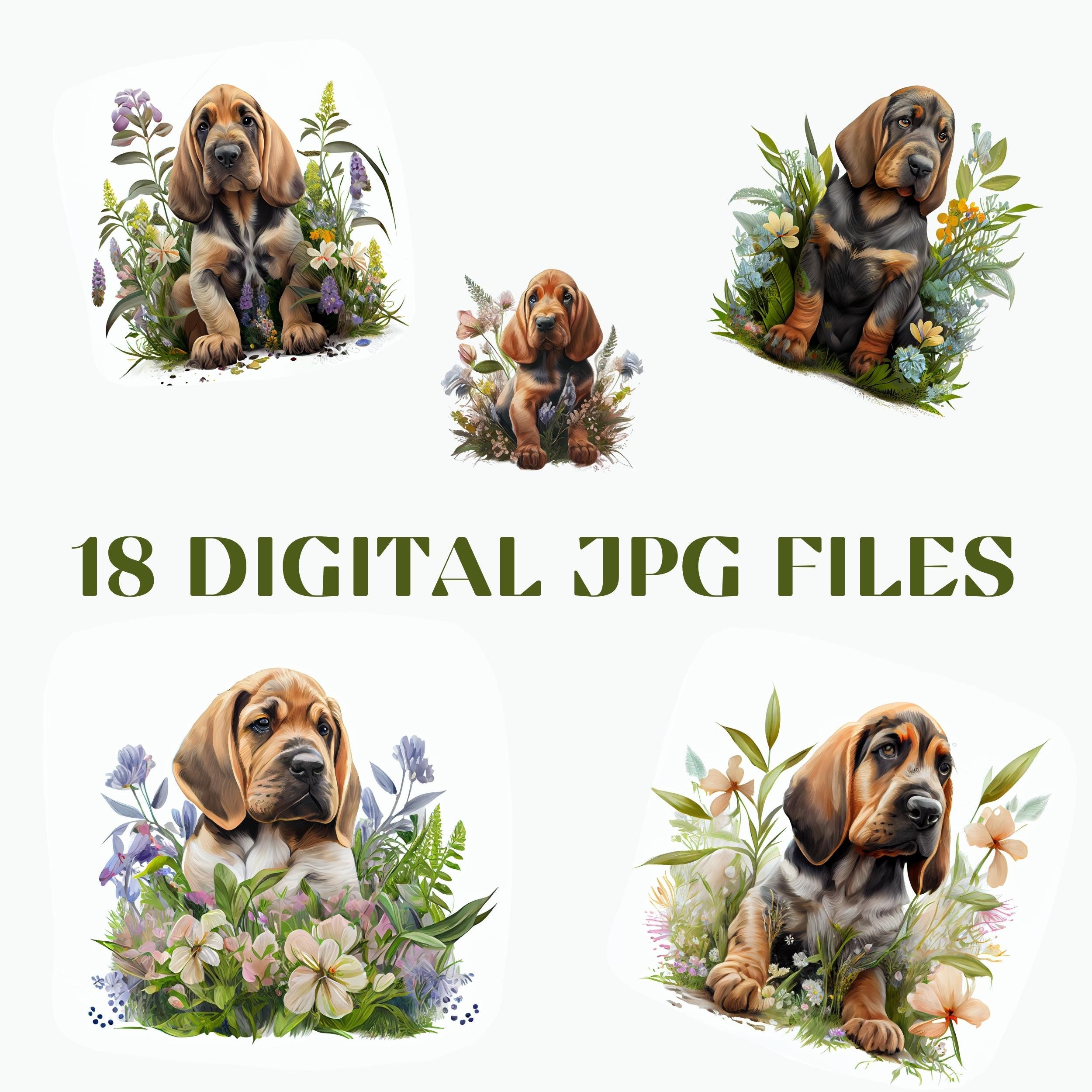 Bloodhound Puppy Digital Watercolor Clipart, Bloodhound Breed Printable ...