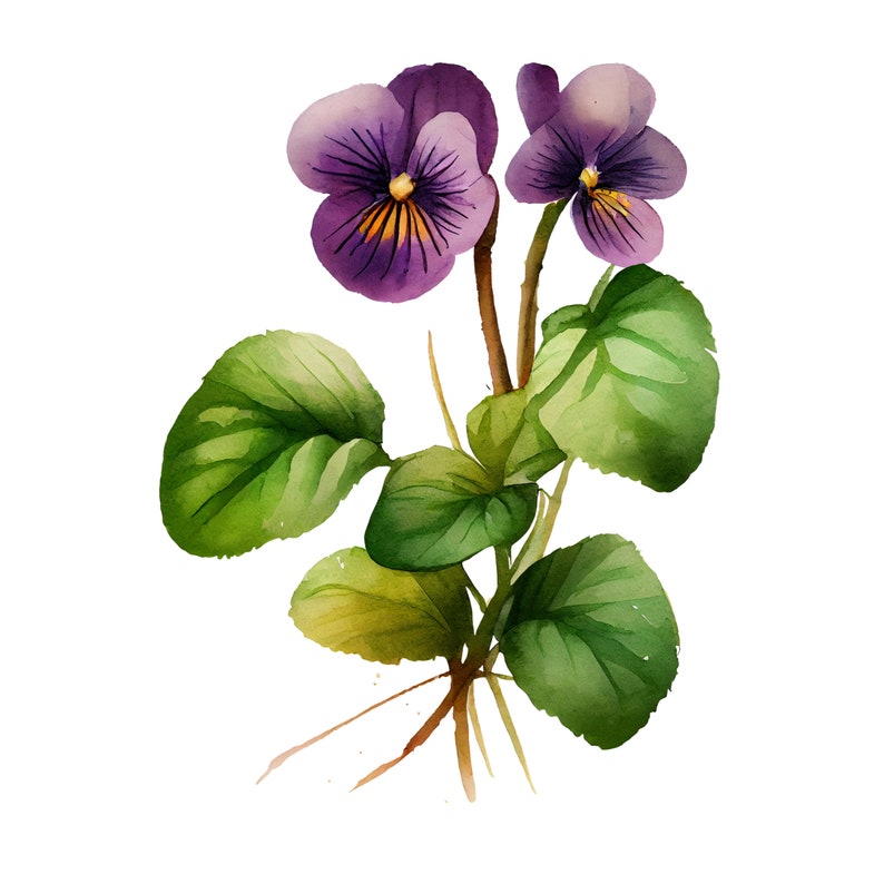 Violets Flower Digital Watercolor Clipart, Violets Flower Printable ...