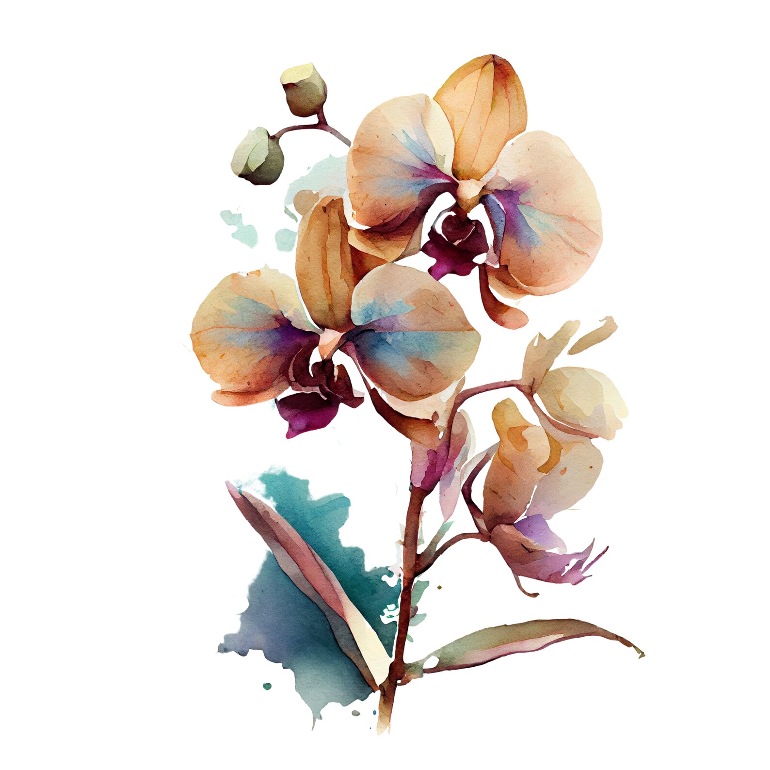 Orchid Flower Digital Watercolor Clipart, Orchid Flower Printable Wall ...