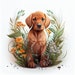 Unique Watercolor Rhodesian Ridgeback Puppy Graphics 18 High-quality ...
