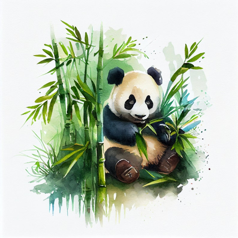 Bamboo Forest Panda Clipart for Digital Art and Crafts - Etsy