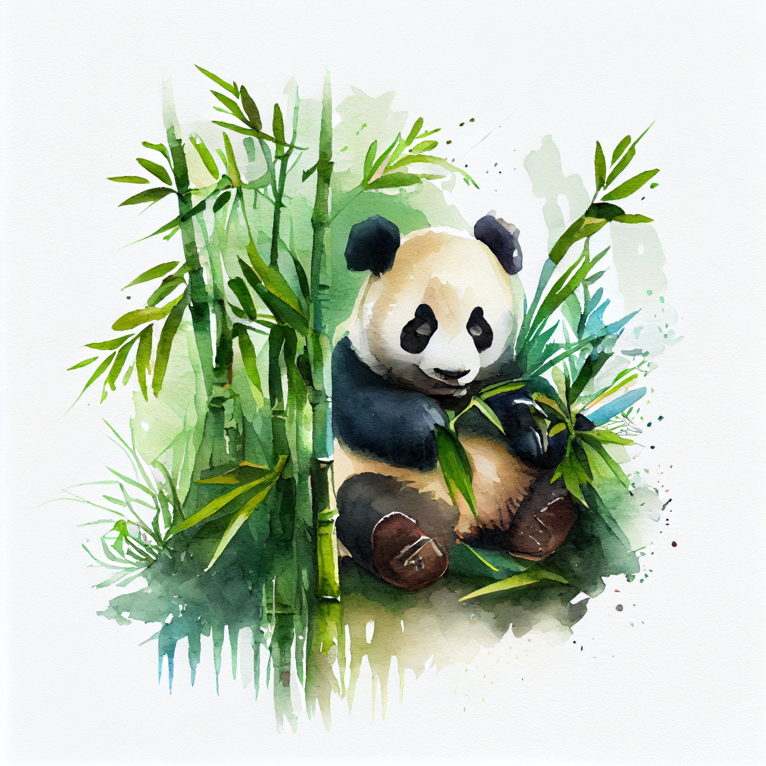 Bamboo Forest Panda Clipart For Digital Art And Crafts Etsy